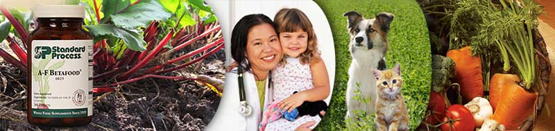 Standard Process - Jeffrey S. Smith, D.C. - Clermont FL